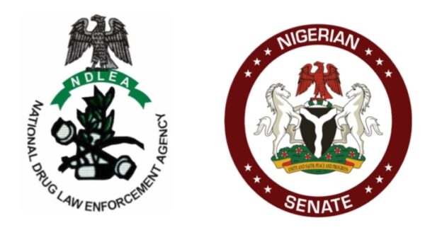 NDLEA, Justice Ministry Oppose Senate Bill for New Drug Awareness and ...